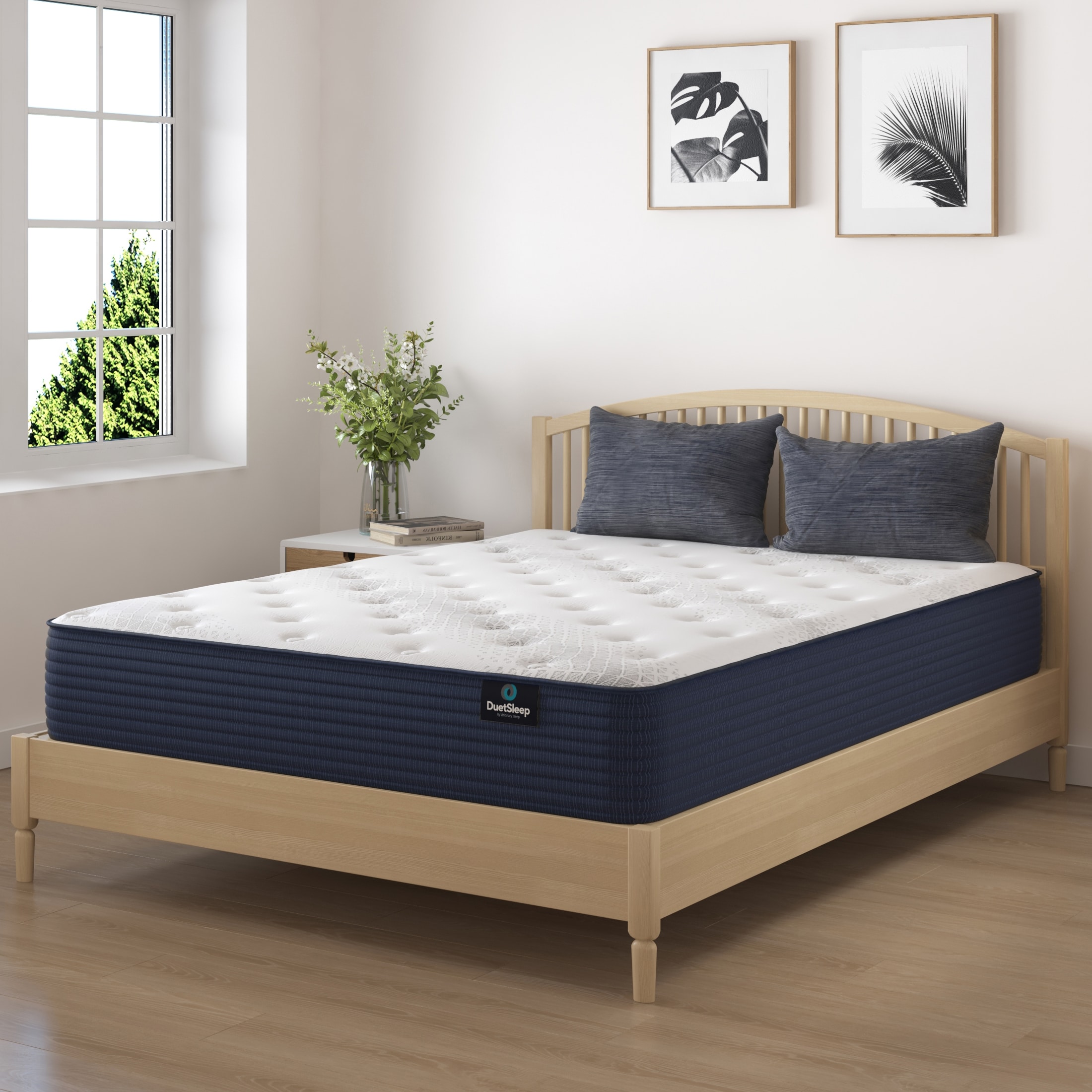 Queen Mattress | Cardis