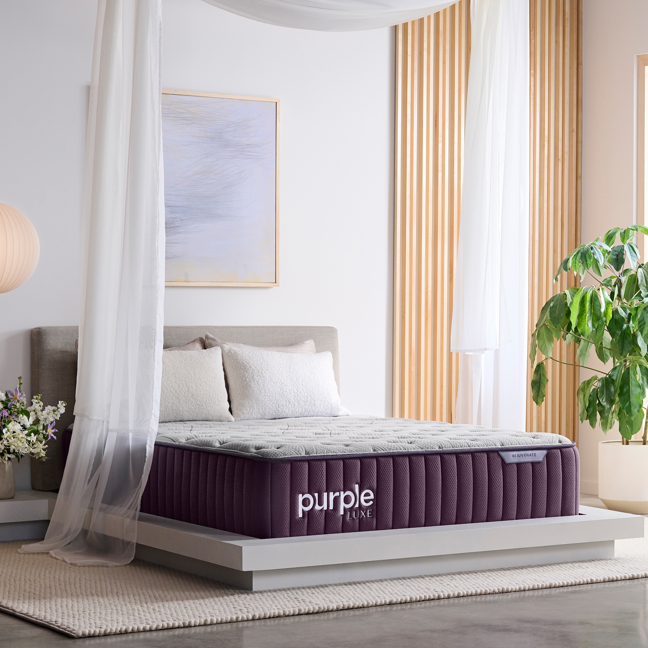 Twin Xl Mattress | Cardis
