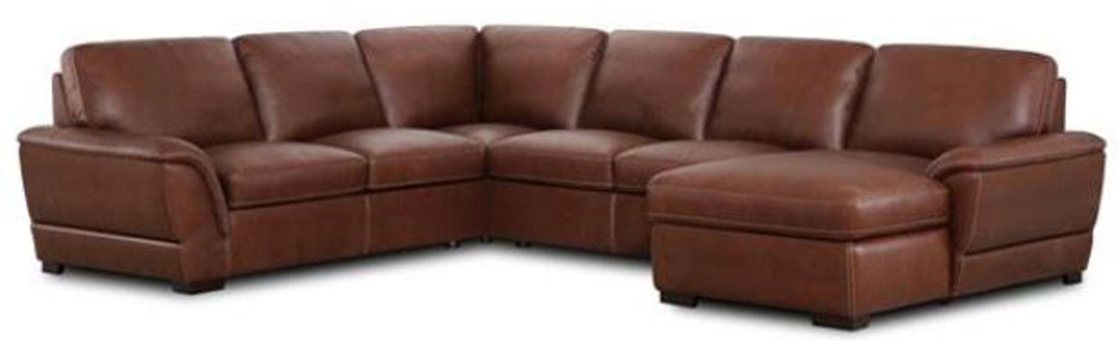 Cardis leather sectional store